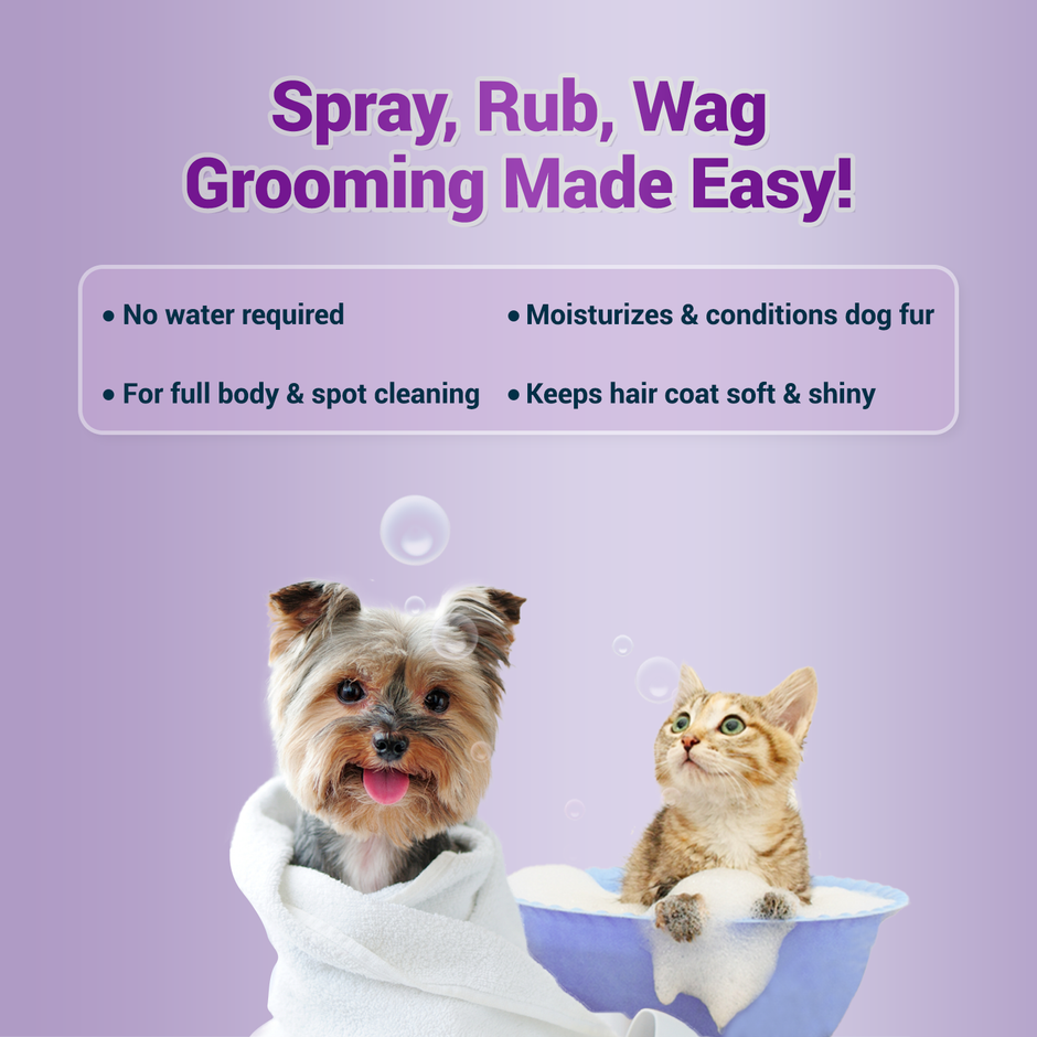 Pet care products - Supplements | Medicines | Grooming | Treats – Pet ...