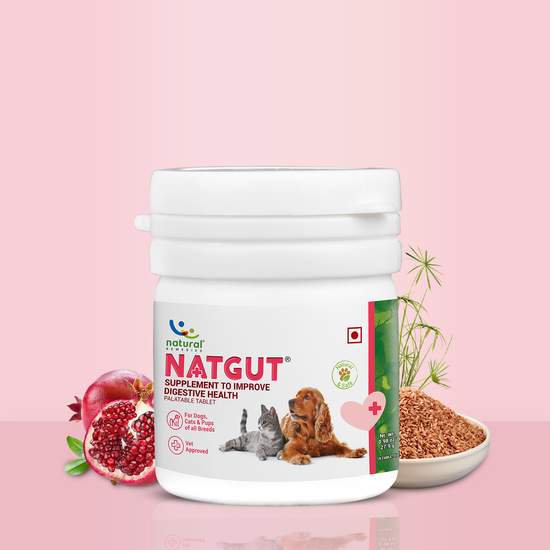 NATGUT Supplement to improve digestive – Pet Natural Remedies