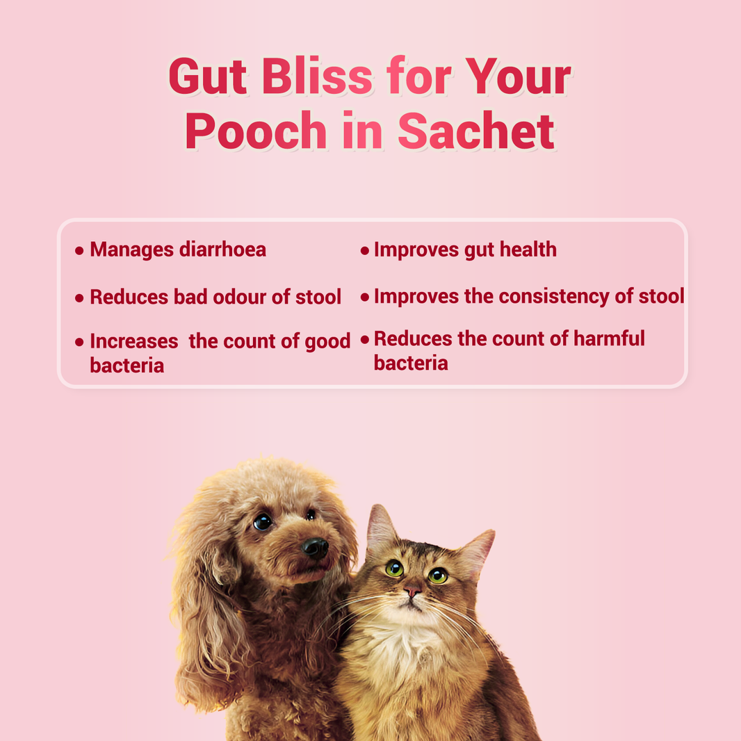 Buy Dog and Cat supplements – Pet Natural Remedies