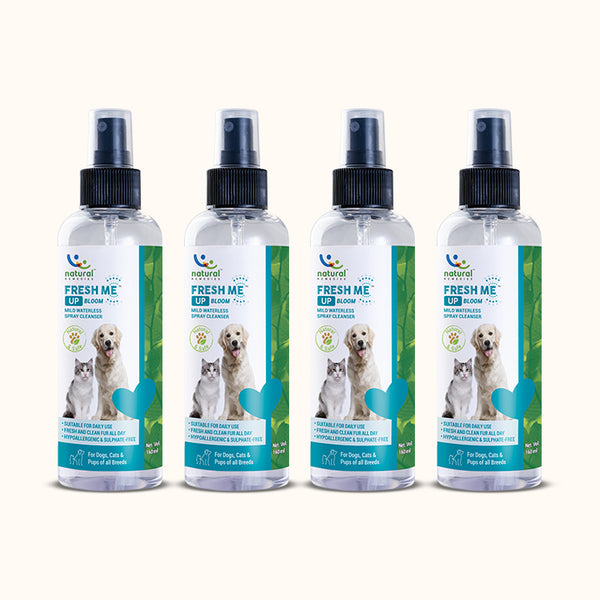 Fresh Me Up Bloom - Pack of 4 – Pet Natural Remedies