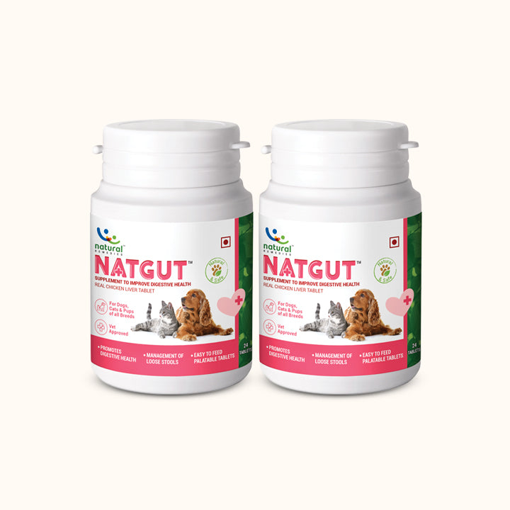 NATGUT Supplement to improve digestive – Pet Natural Remedies