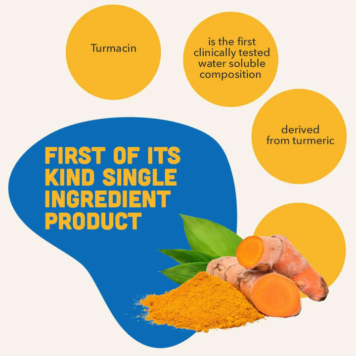 ORTHORON TABLET - Pet Joint Supplements Tablets – Pet Natural Remedies