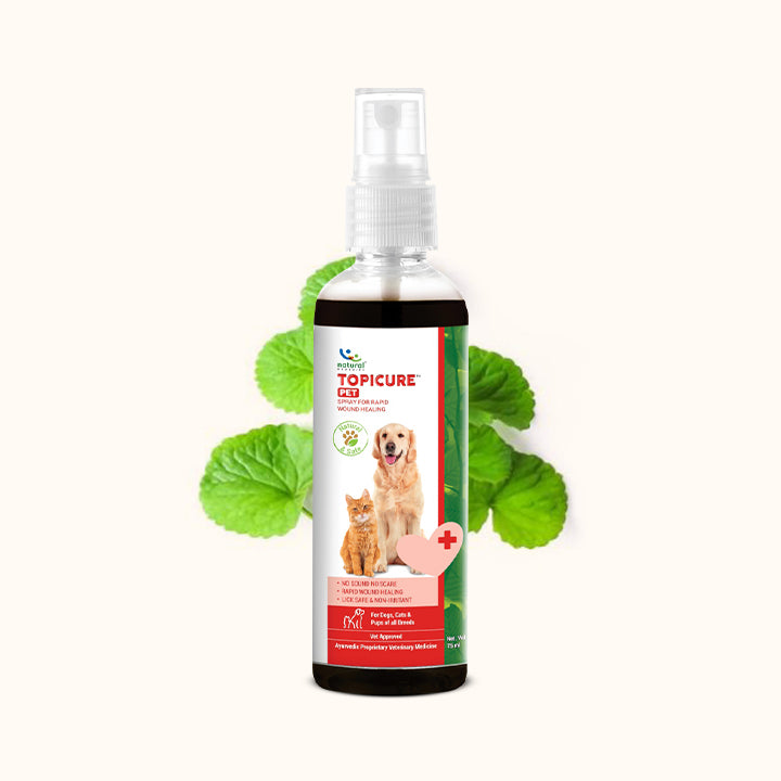 TOPICURE PET | Spray For Rapid Wound Healing – Pet Natural Remedies
